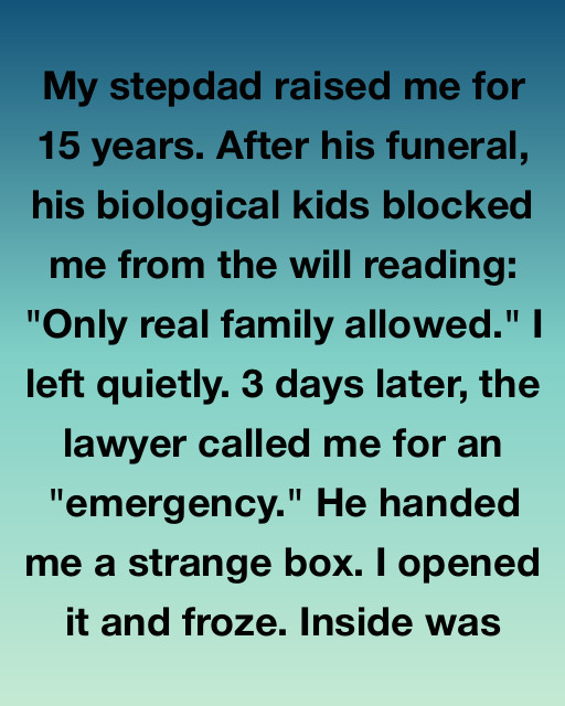 They Kicked Me Out Of The Will For Not Being “blood.” The Lawyer Just ...